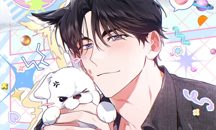 Bas les pattes ! - LE BONTOON